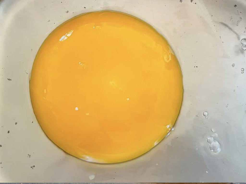 Ostrich Egg Fried MASSIVE Ostrich Egg Breakfast 🍳 Food Network